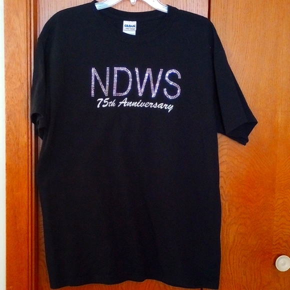 Gildan | Tops | Ndws | Poshmark